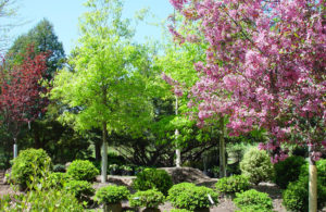 Spring Valley Nurseries | Landscape Design and Nursery Doylestown, Pa.